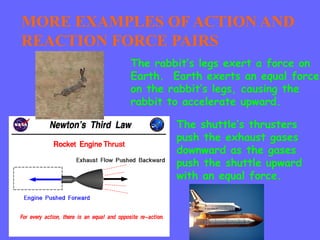 Newtons laws and gravity | PPT