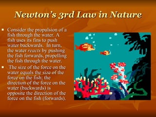 Newtons Laws Of Motion | PPT