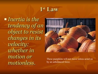 Newtons Laws Of Motion | PPT