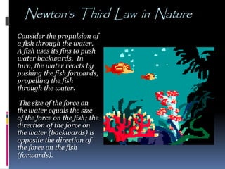 Newton’s laws o f motion | PPTX | Physics | Science