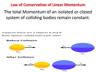 NEWTON'S LAWS OF MOTION.pptx The motion of an object | PPT