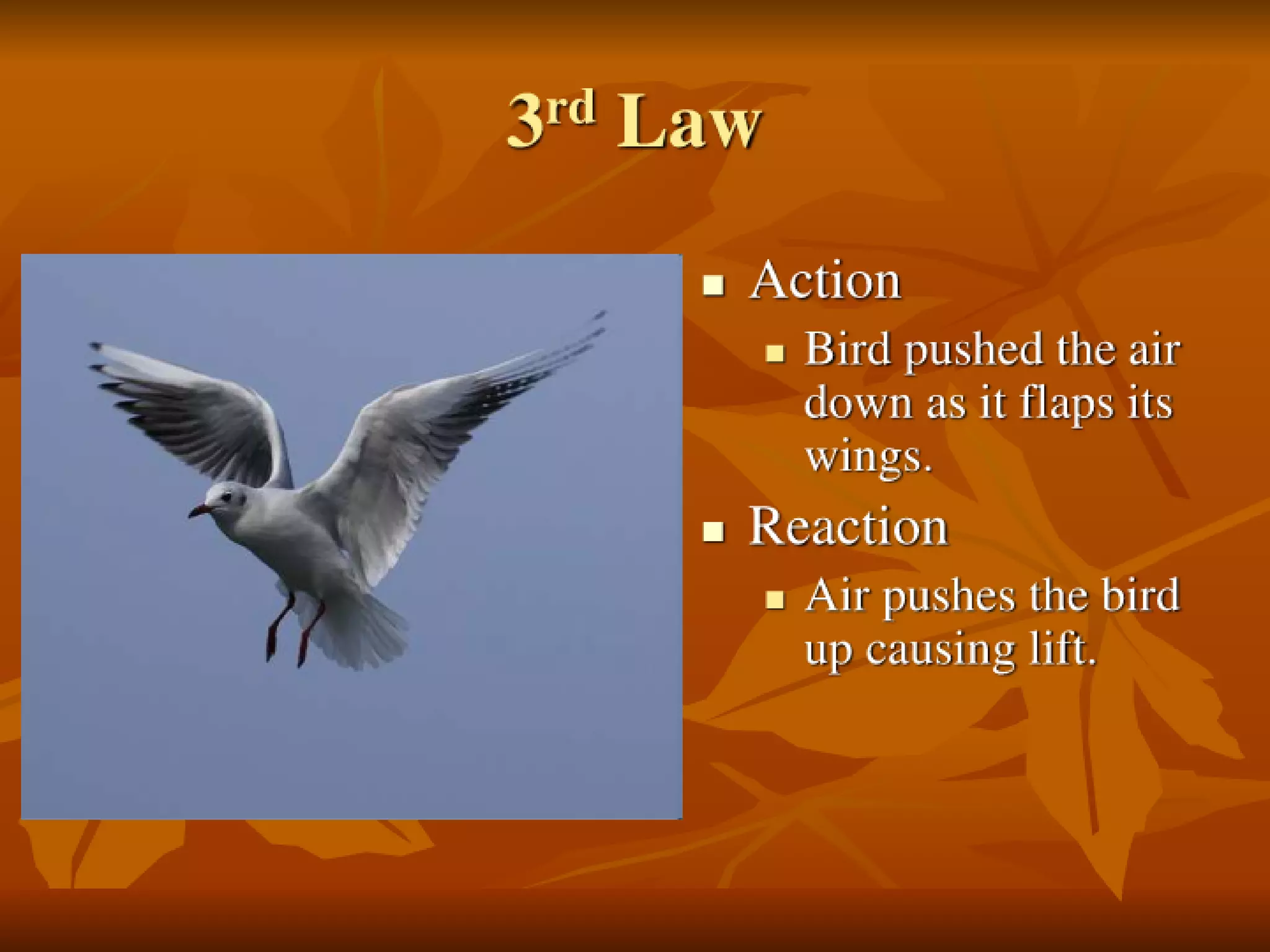 Newtons laws of_motion - 3rd law | PPT