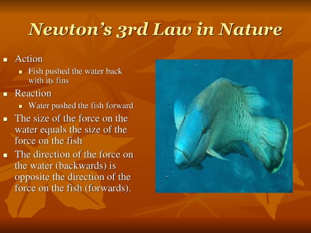 Newtons laws of_motion - 3rd law | PPT