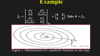 Newton's Method for Multivariable.pdf.pptx | Computing | Technology & Computing