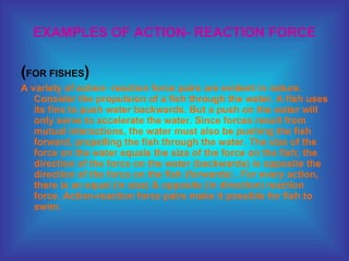 Newton;S Third Law | PPT