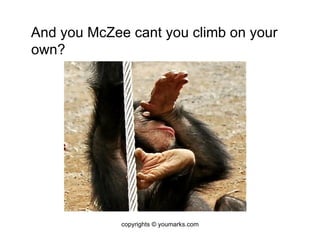 Newtons Third Law Visual Solution | PPT