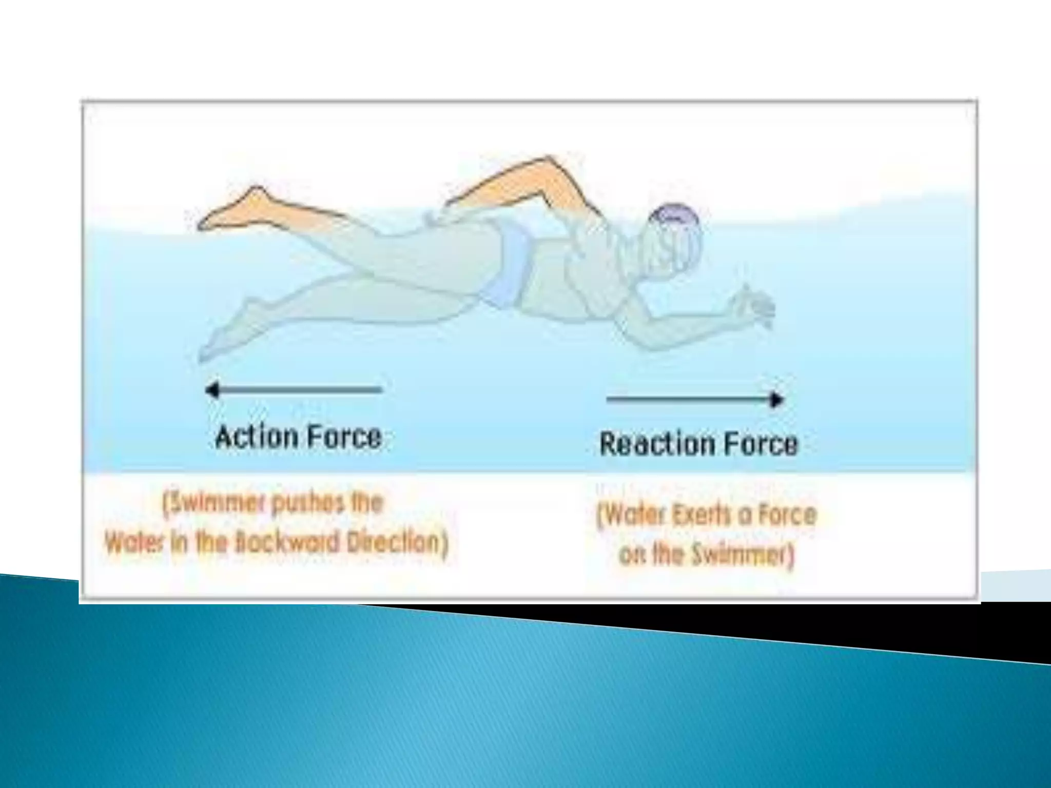 Newton third law of motion ppt | PPTX
