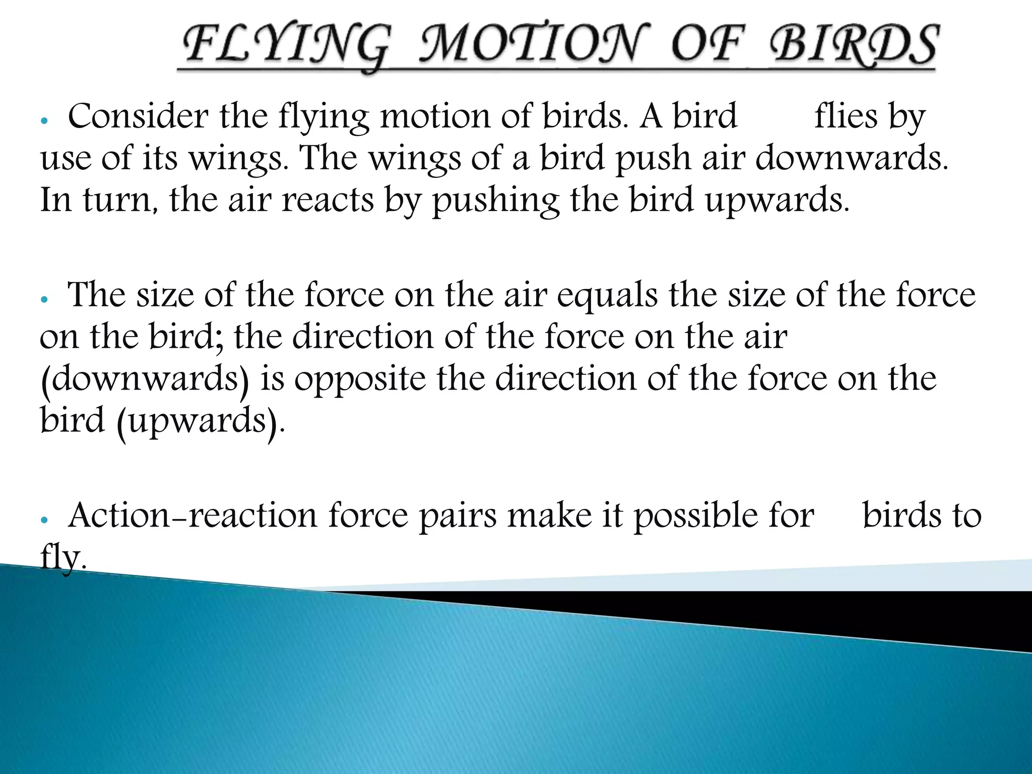 Newton third law of motion ppt | PPTX