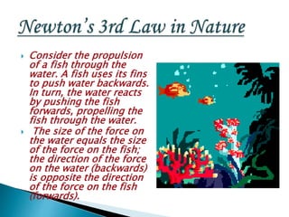 Newton third law of motion ppt | PPTX