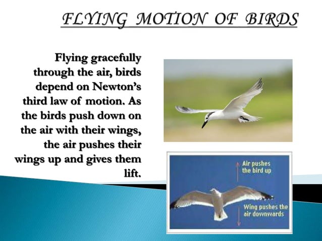 Newton third law of motion ppt | PPTX | Physics | Science