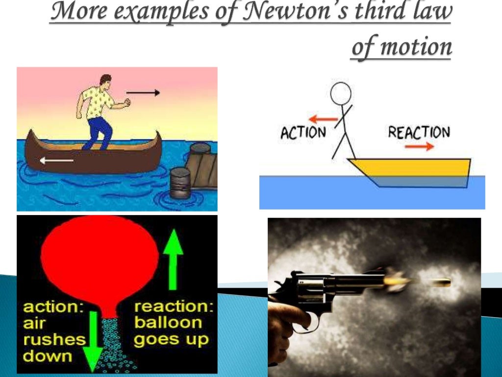 Newton third law of motion ppt