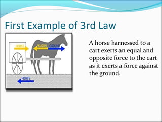 Newtonthird law of motrion with animation and slideshow123 | PPT