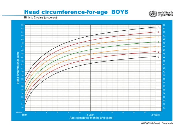 Pediatrics who recommended total charts.pdf. | PPT