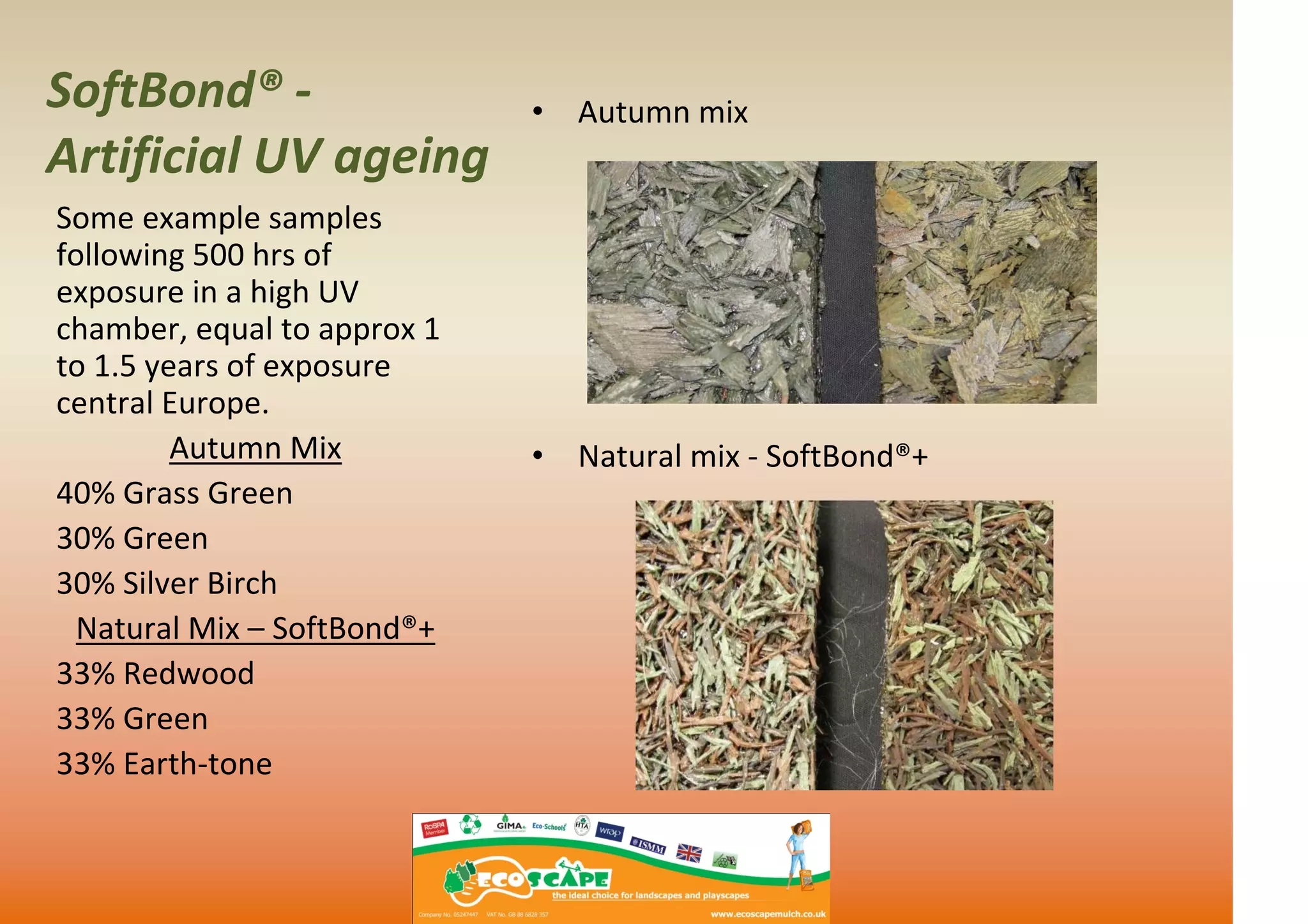 New trade client introduction presentation | PDF