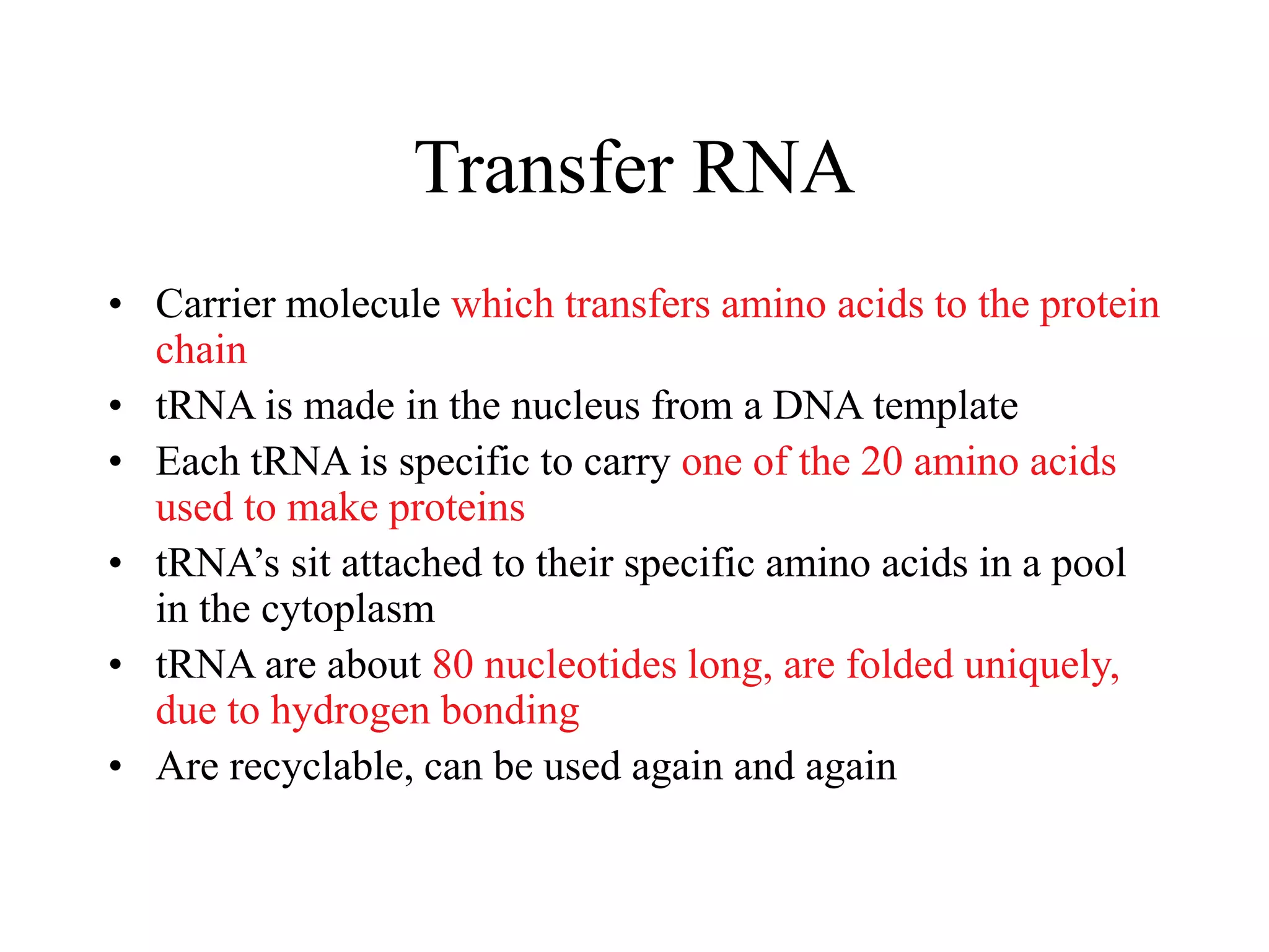 Protein synthesis | PPTX