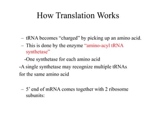 Protein synthesis | PPTX