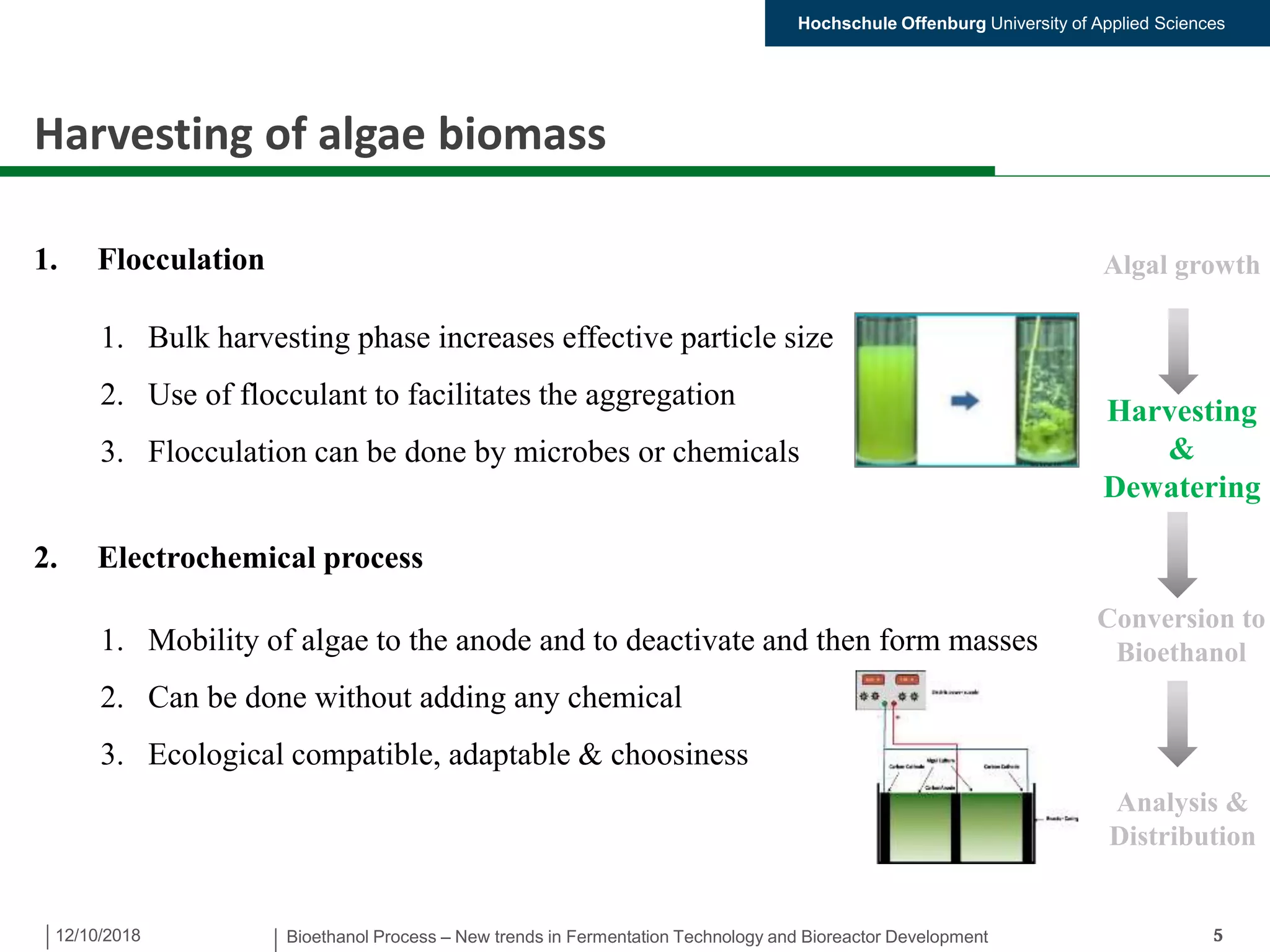 New trends in fermentation technology - Using Algae as biomass | PPTX