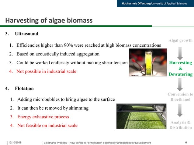 New trends in fermentation technology - Using Algae as biomass | PPTX
