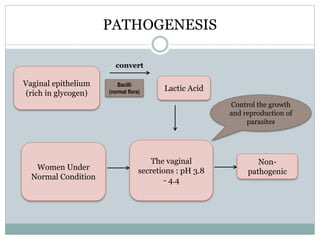 trichomoniasis | PPTX