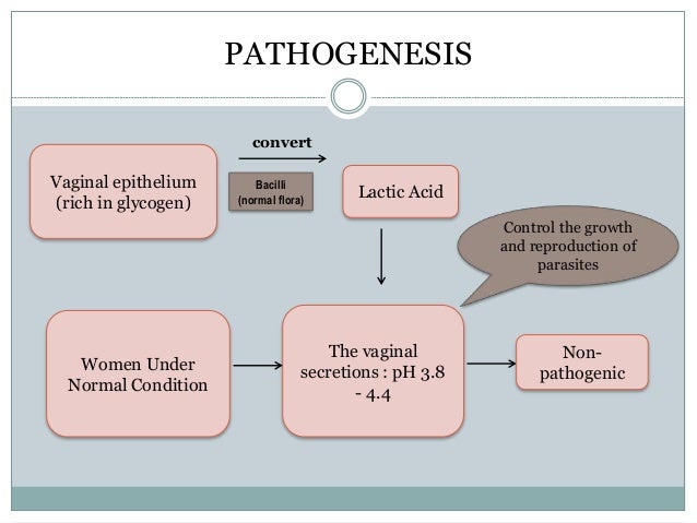 Trichomoniasis