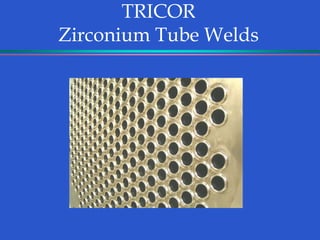 Tricor Metals | PPT