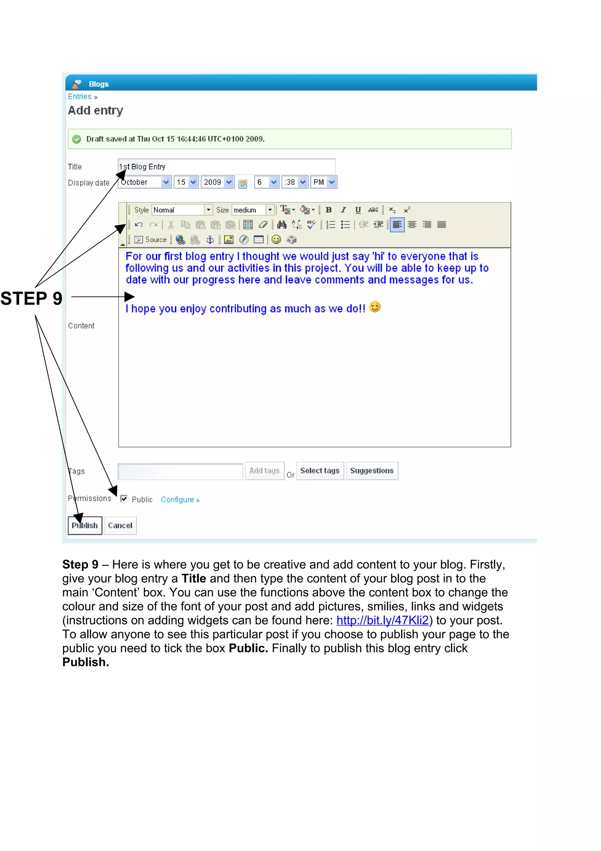 eTwinning New Twinspace - How To Add A Blog | PDF