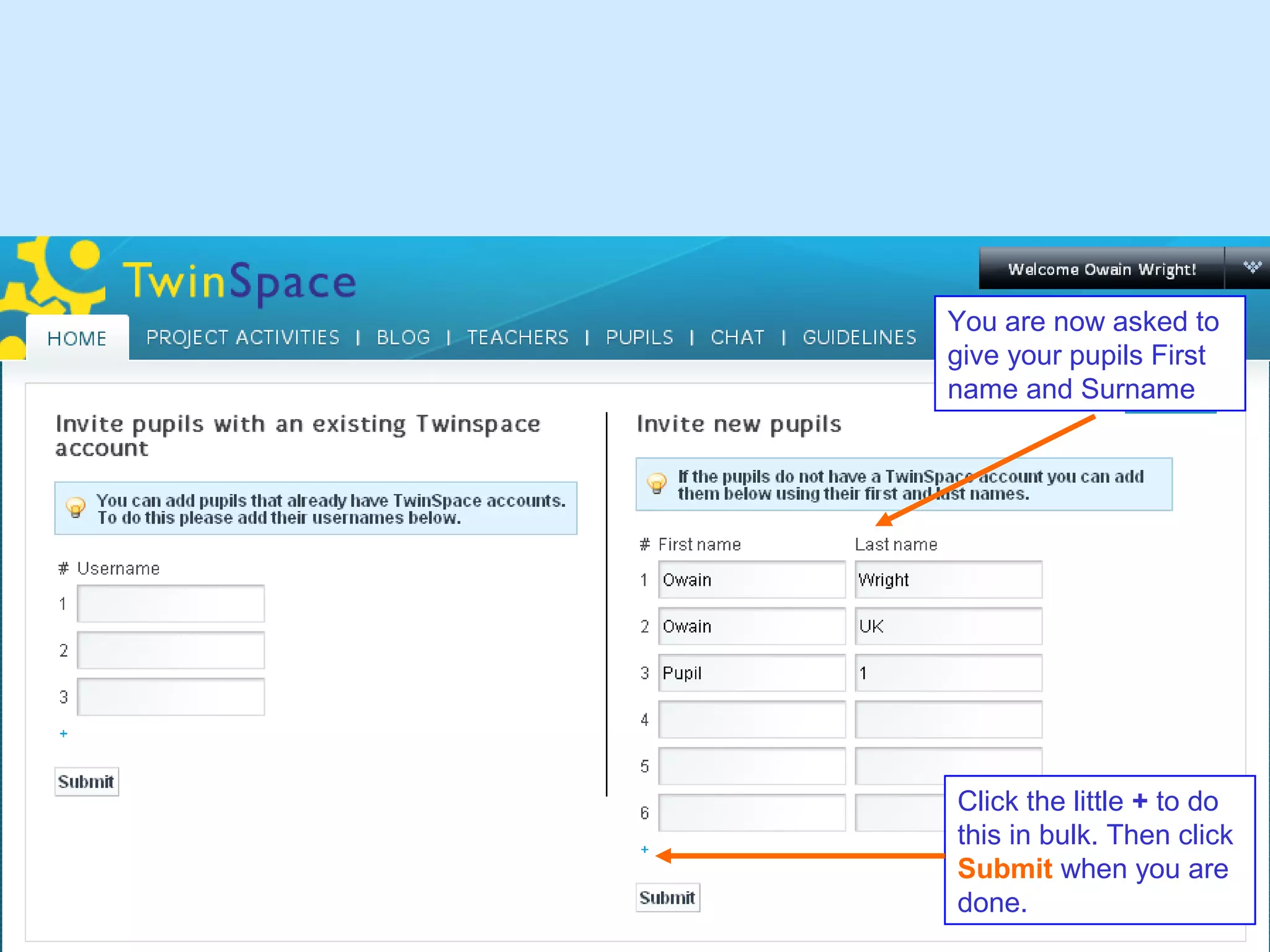 Using Your Twinspace Webinar Slides | PPT