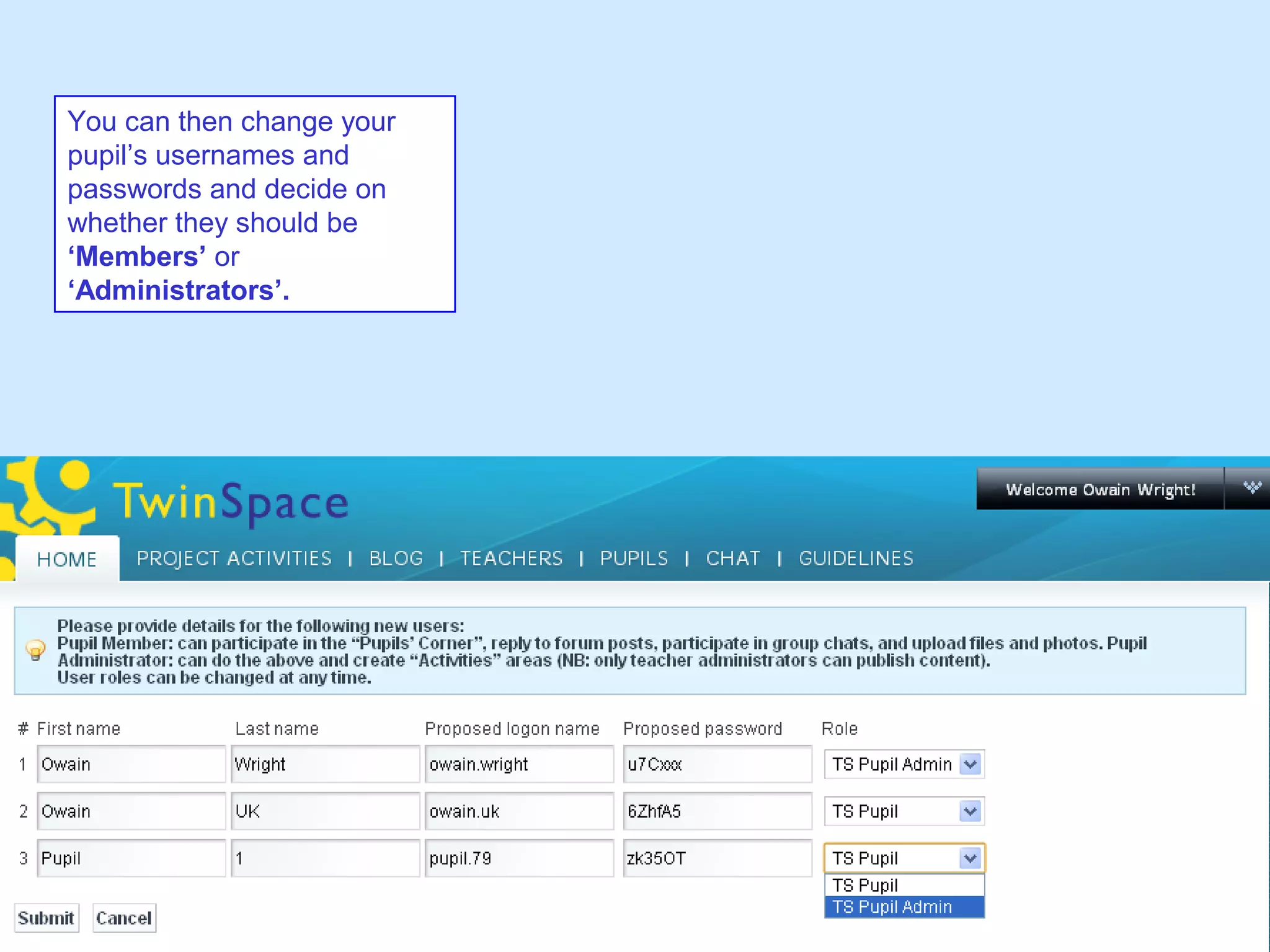 Using Your Twinspace Webinar Slides | PPT