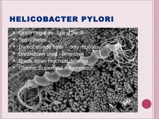 peptic ulcer | PPT