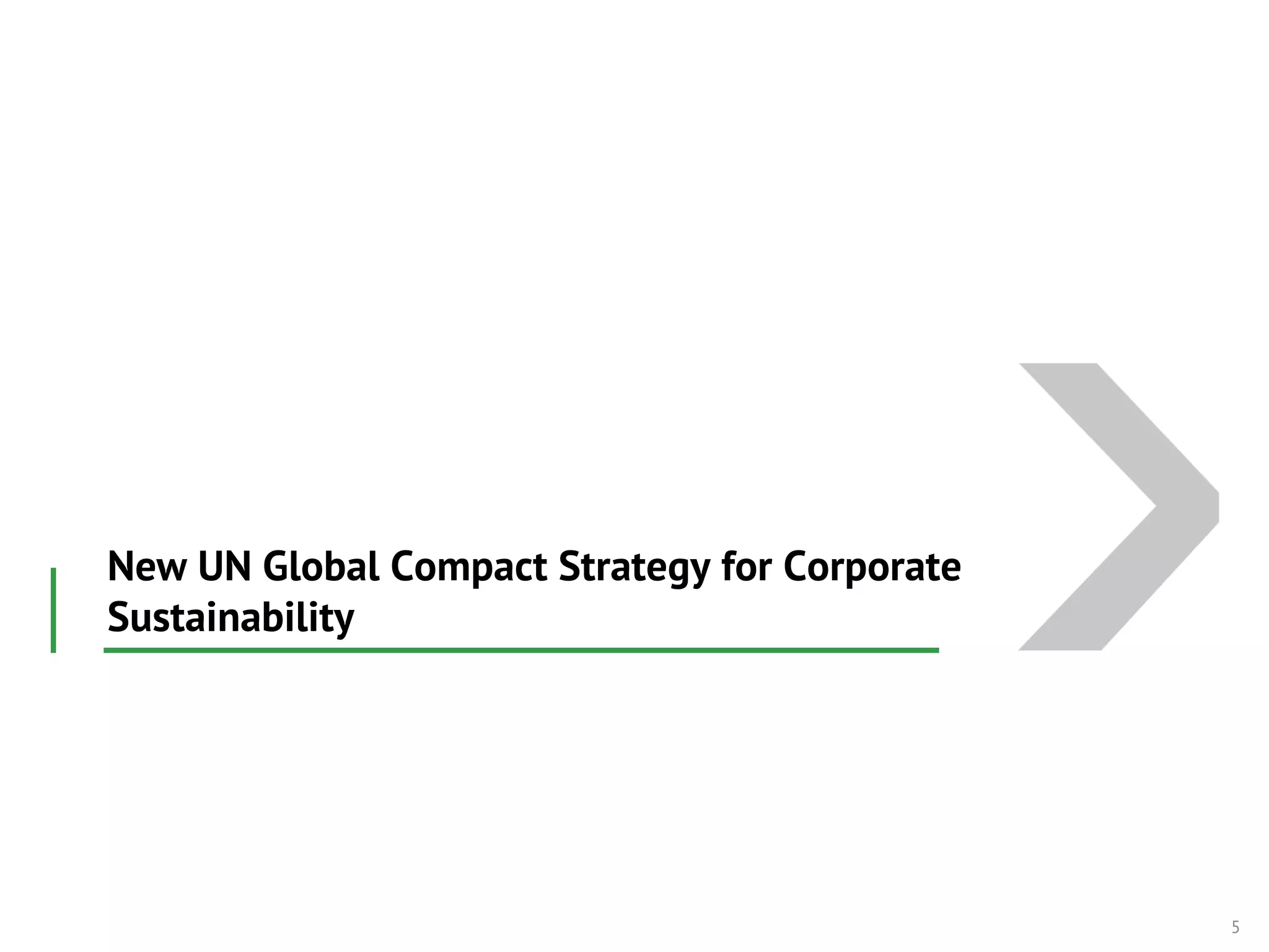 New UN Global Compact Strategy for Corporate Sustainability | PDF