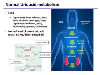 New uric acid disorder | PPT