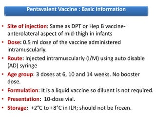 New vaccine introduction pentavalent vaccine india_b_ankura | PPTX