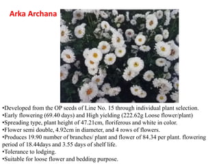 New varieties of flower crops_111400.pptx