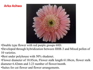 New varieties of flower crops_111400.pptx