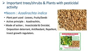 Plant based insecticides in pest management (Botanicals) | PPTX