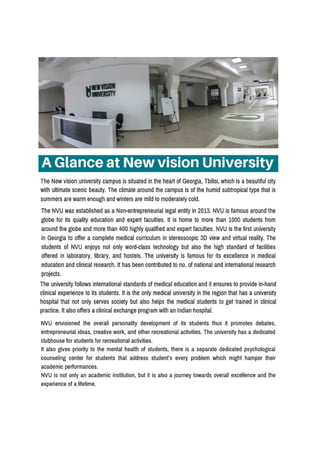 New vision final pdf | PDF