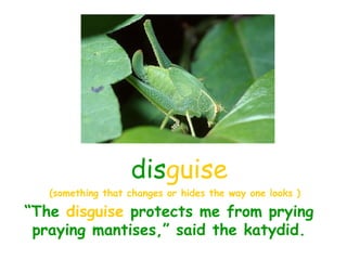 New vocab for_the_hungry_little_hare | PPT