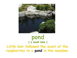 New vocab for_the_hungry_little_hare | PPT