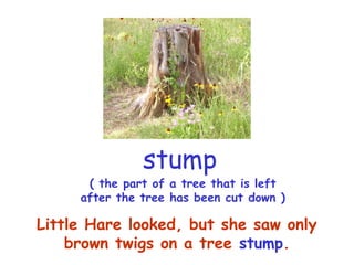 New vocab for_the_hungry_little_hare | PPT
