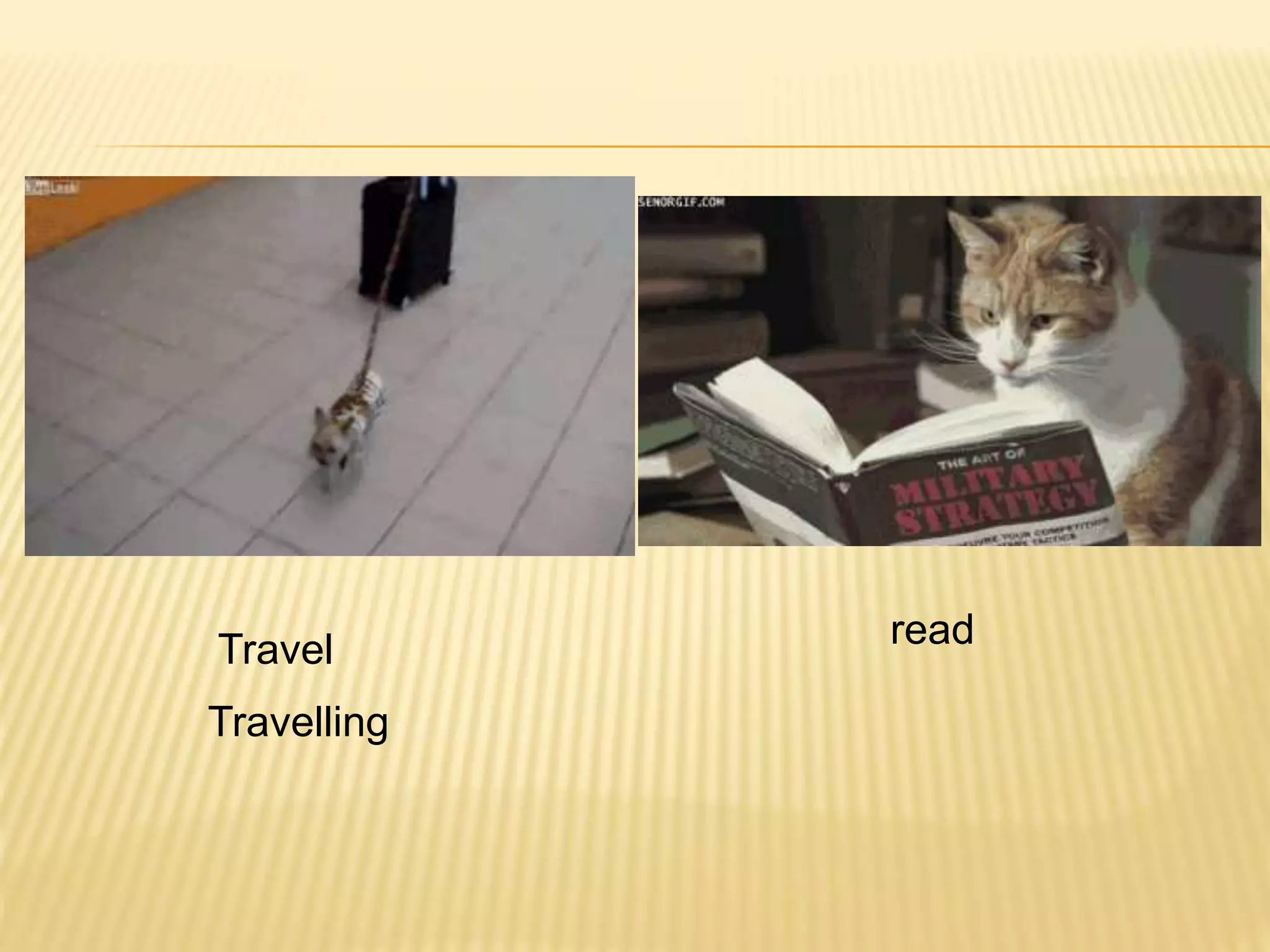 New vocabulary - abilities | PPT