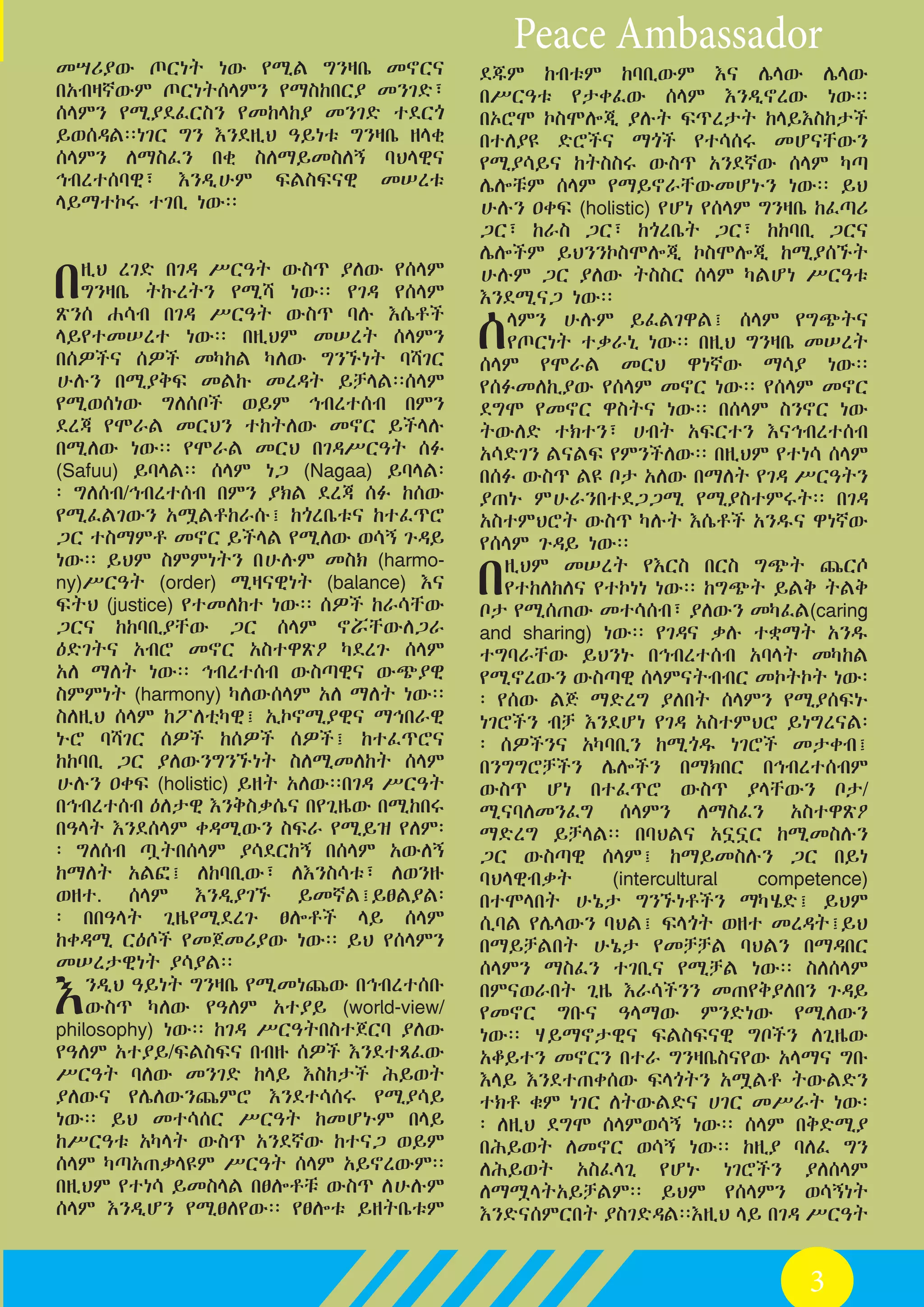 Ethiopian Youth Peace Ambassador.pdf