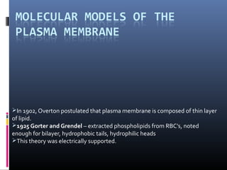 Ultrastructure And chemical compositon of Plasma Membrane/Cell Membrane ...