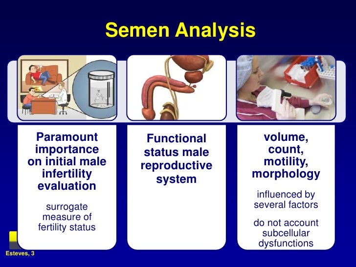New who standards for semen analysis - highlights and implications