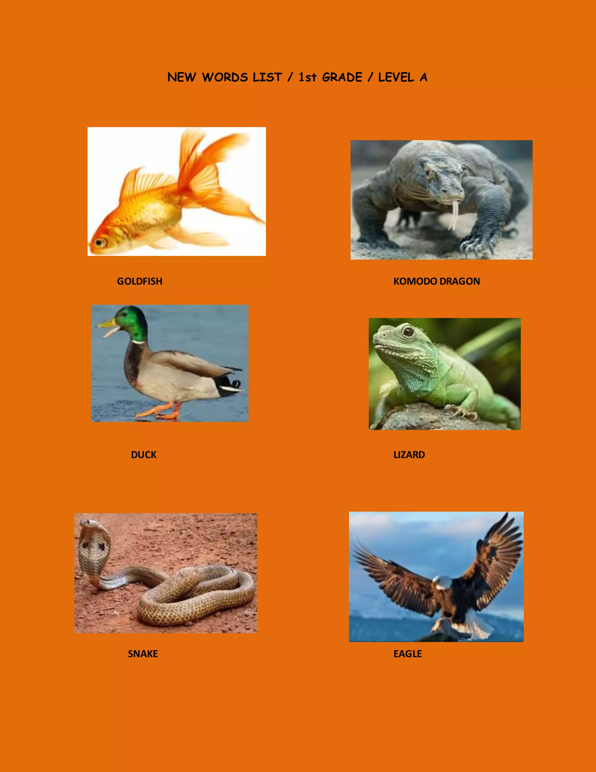 New words list#10 1 st | DOCX