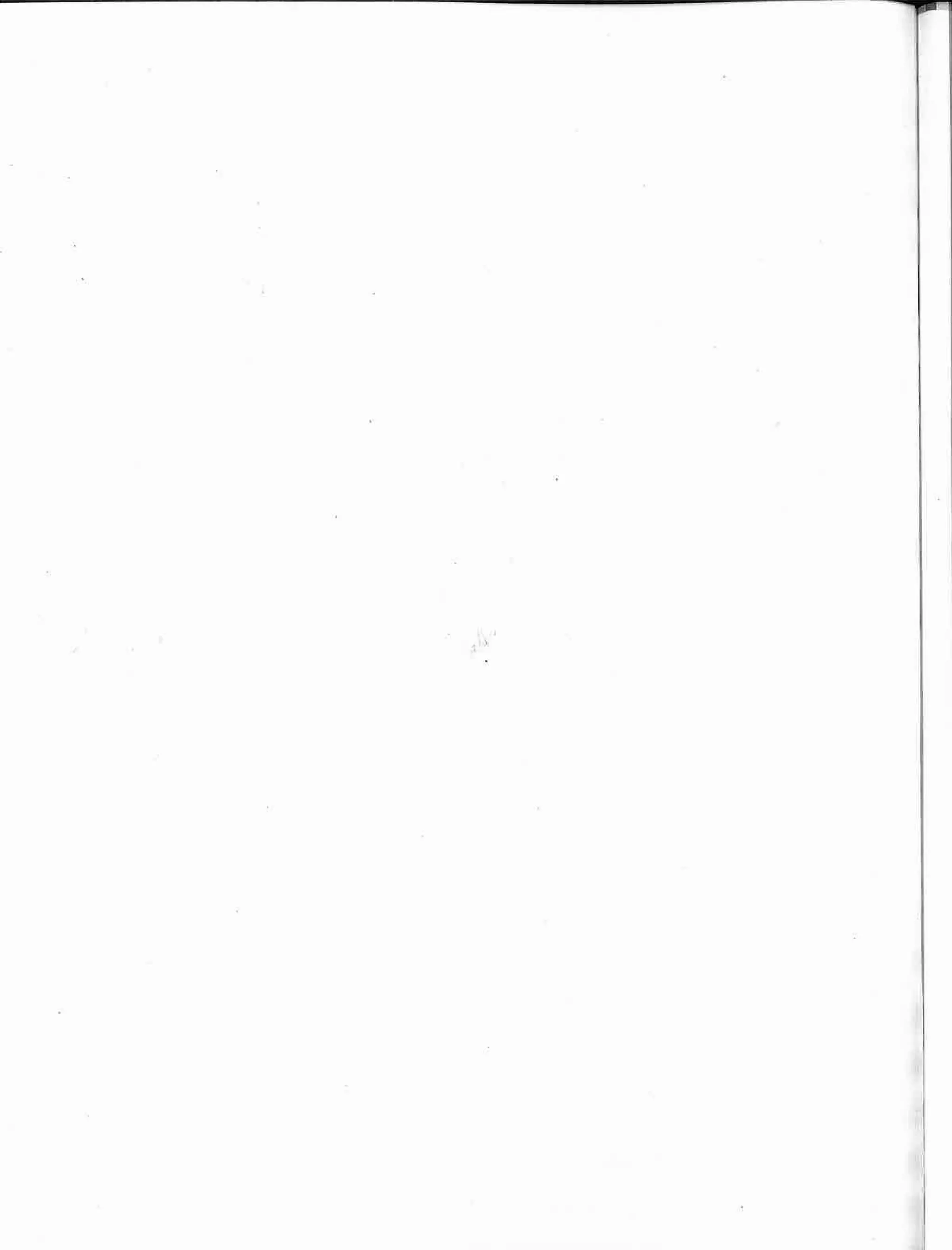 New world 5 workbook | PDF