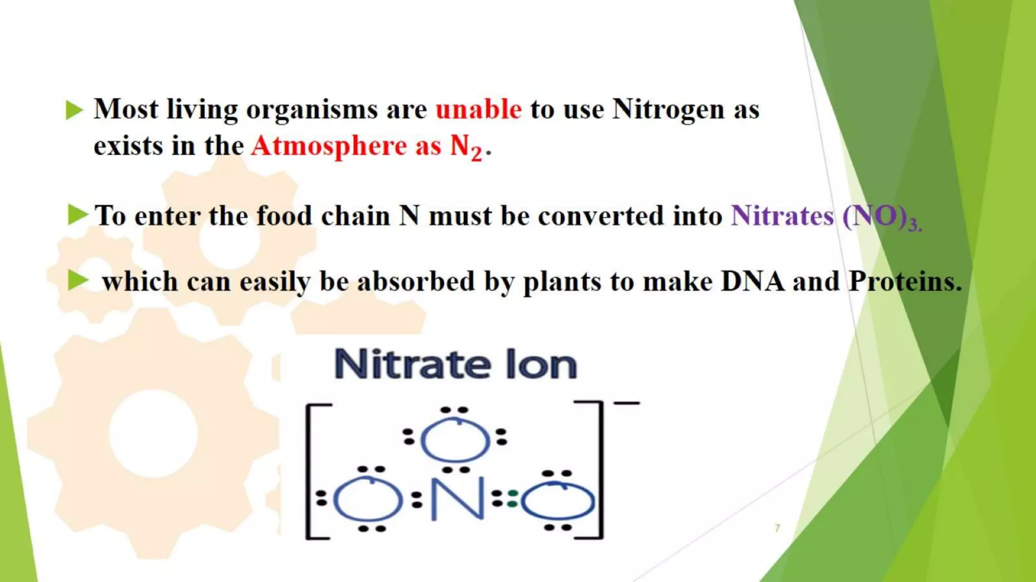 Nitrogen cycle and Ammonification | PPTX
