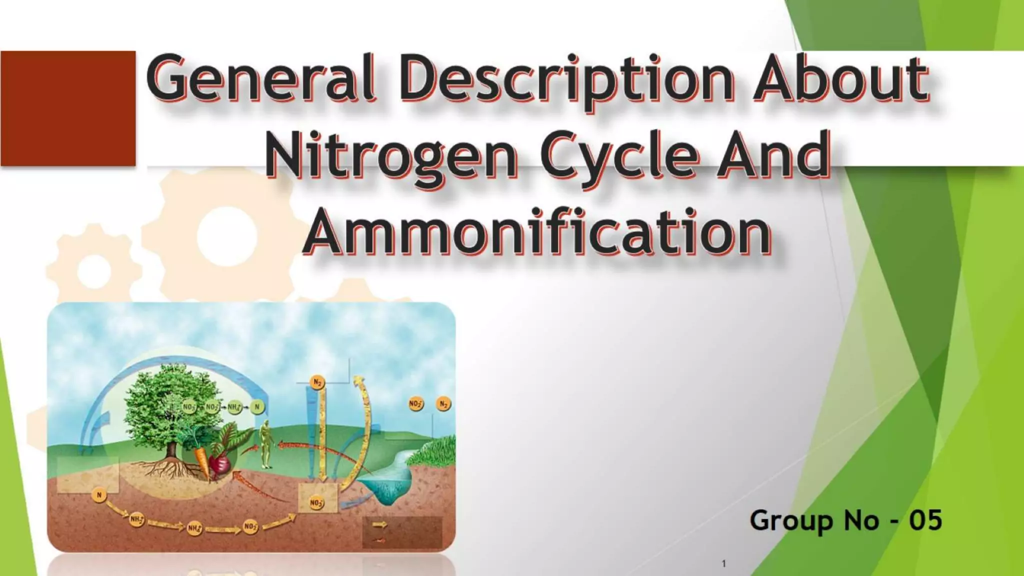 Nitrogen cycle and Ammonification | PPT