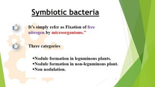 Nitrogen cycle and Ammonification | PPTX
