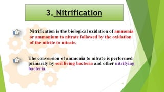 Nitrogen cycle and Ammonification | PPT