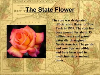 New York State Facts | PPT